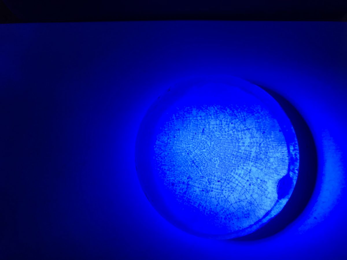 Teaching – Laboratory of Quantum and Photonic Engineering – UW–Madison